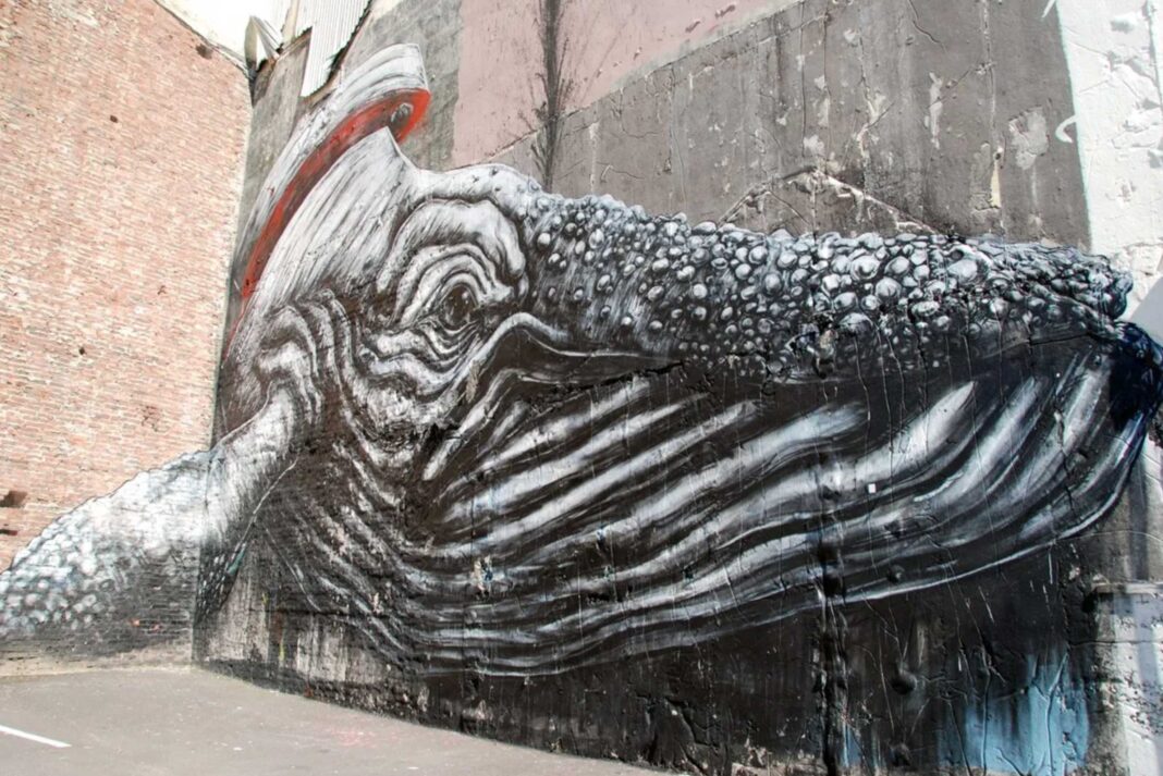 The Mysterious World of ROA - ArtistRealm | Dedicated to the Arts